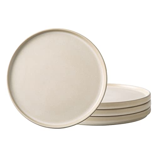 AmorArc Stoneware Dinner Plates Set of 4, 10.25 Inch Reactive Matte ...